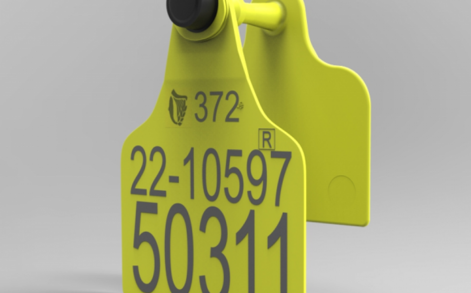 Agri-tags Animal Identification - Agrihealth - Animal Health ...